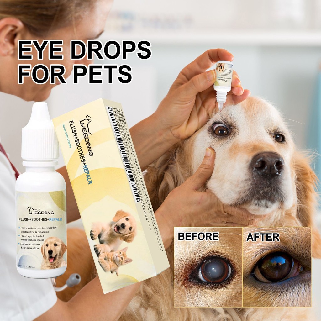 Dog Eye Care - Eye Wash Solution for Dogs, Tear Stain Remover & Eye ...