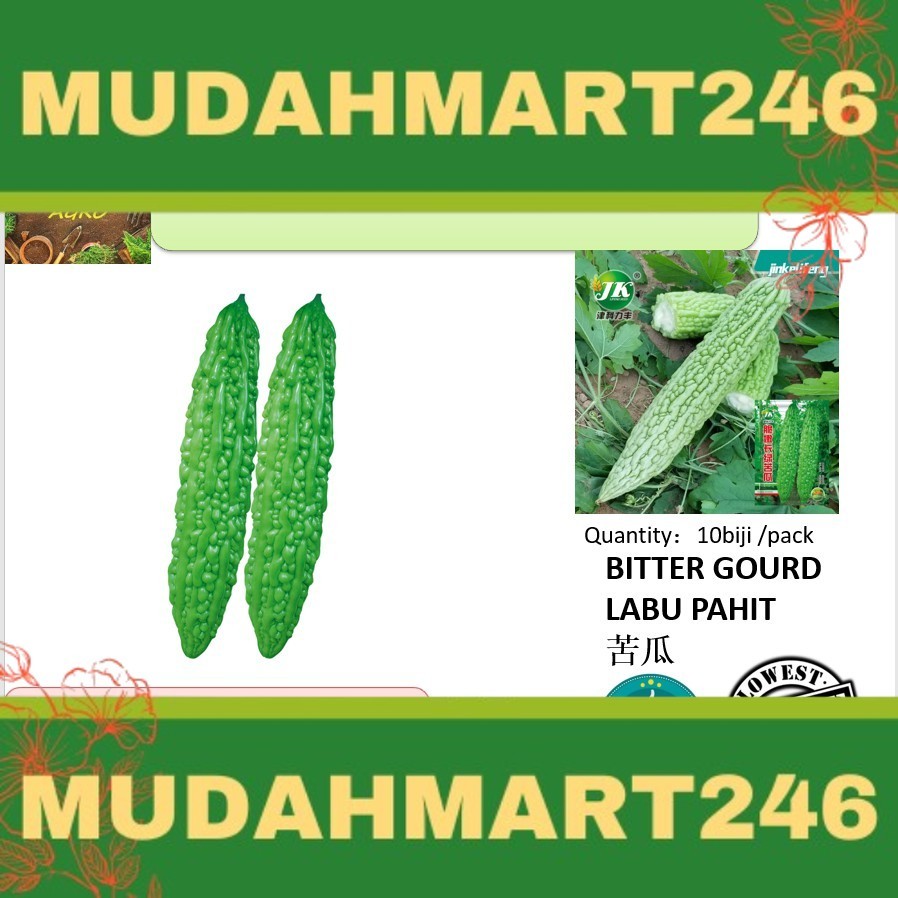 G5027 MUDAH MART 10biji /pack BITTER GOURD LABU PAHIT 苦瓜 vegetable seed ...