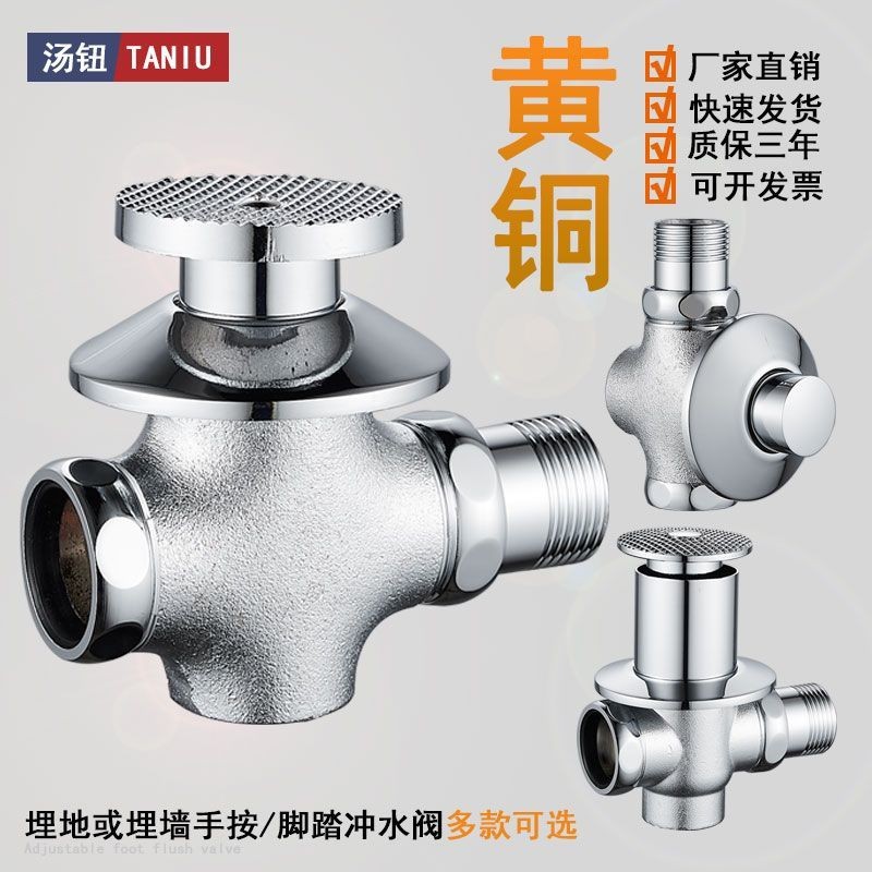 Toilet Concealed Squatting Toilet Foot Flushing Valve Stool Flushing ...