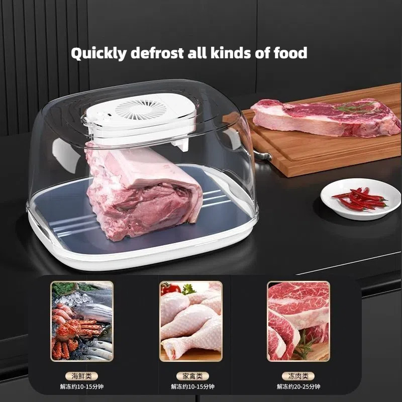 4 in 1 Multifunctional Food Defroster, Upgraded Quick Thawing ...