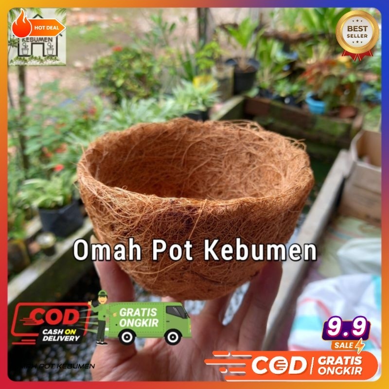 Concave Coconut Coir Pot For Standing Pot | Shopee Malaysia