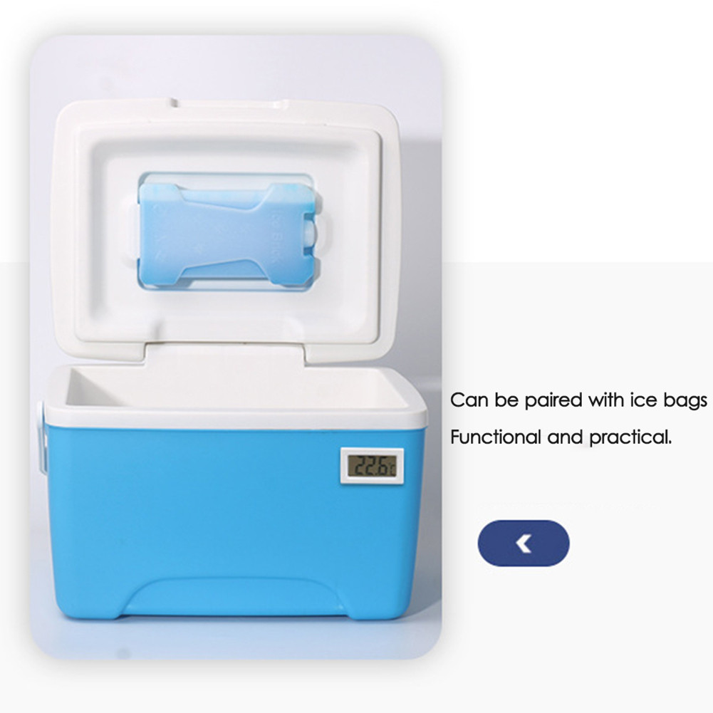 8L Cooler Box Portable Fresh-Keeping Incubator Mini Fridge Camping BBQ ...