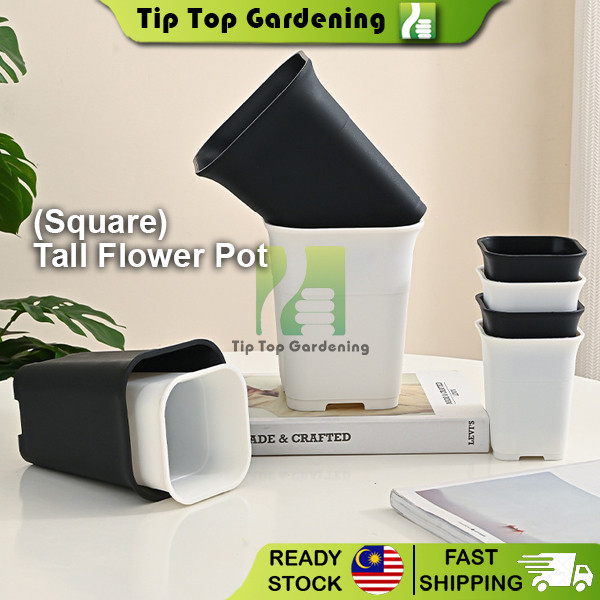 Pasu Bunga Kaktus Sukulen Taman / (Square) Tall Flower Pot For ...