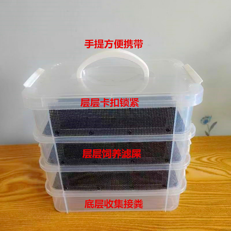 Mealworm Breeding Box Barley Worm Breeding Box Yellow Powder Worm ...