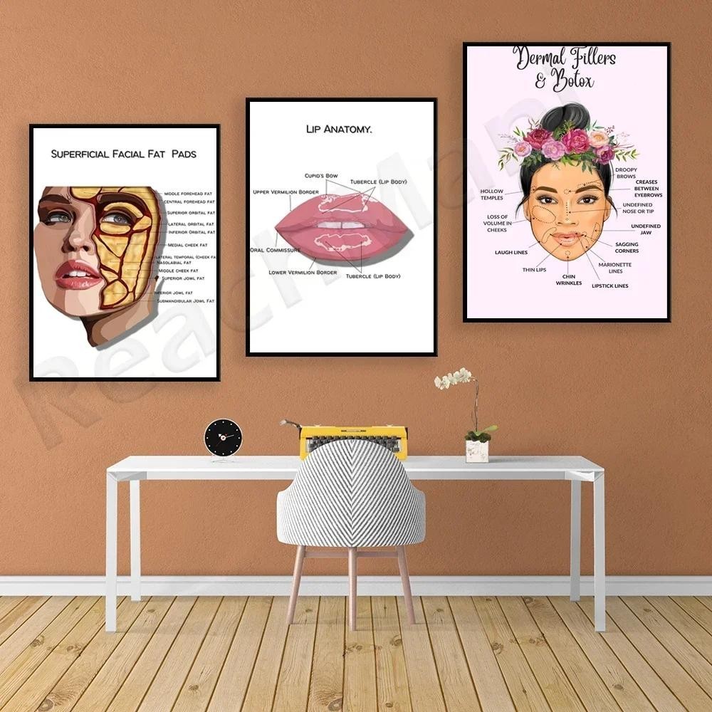 Poster Anatomi Bibir & Lapisan Lemak Cetek - Sesuai untuk Pengisi ...