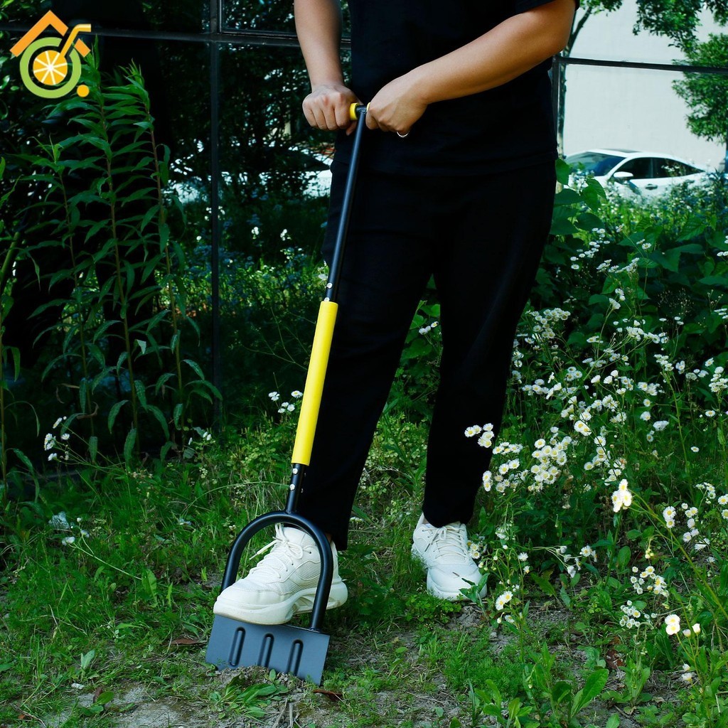Edger Lawn Tool Manual Edgers with Ergonomic T Grip Handle Steel Hand ...