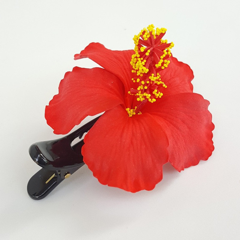 Bunga Raya Merdeka / Cekak Rambut Budak / Flower clips ( ready stock ...