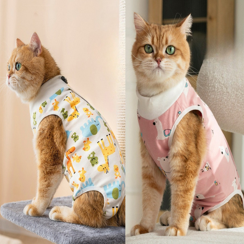 Pet Recovery Suit for Cat Breathable Dog Onesie for Surgery Spay Neuter ...