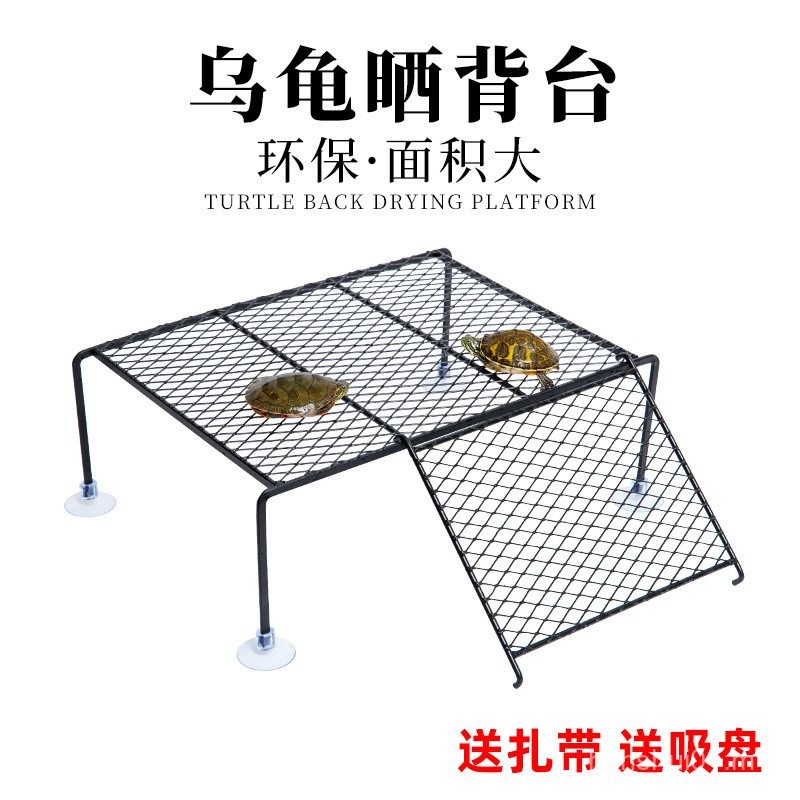 Turtle Drying Platform Turtle Jar Drying Platform Climbing Platform ...