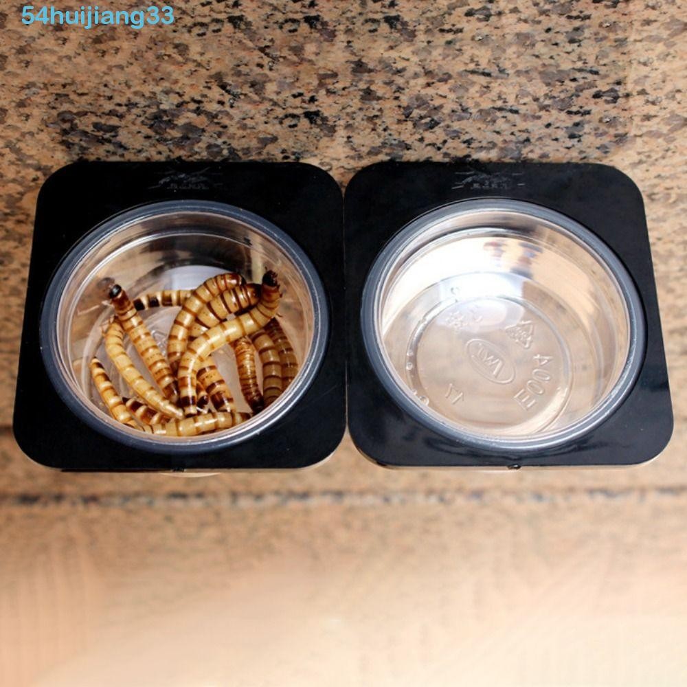 HUIJIANG Gecko Food Container Practical Transparent for Crabs Spider ...