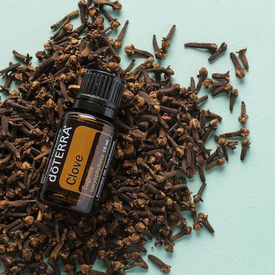 ORIGINAL doTERRA clove ESSENTIAL OIL 15ML 100% ORIGINAL | Shopee Malaysia