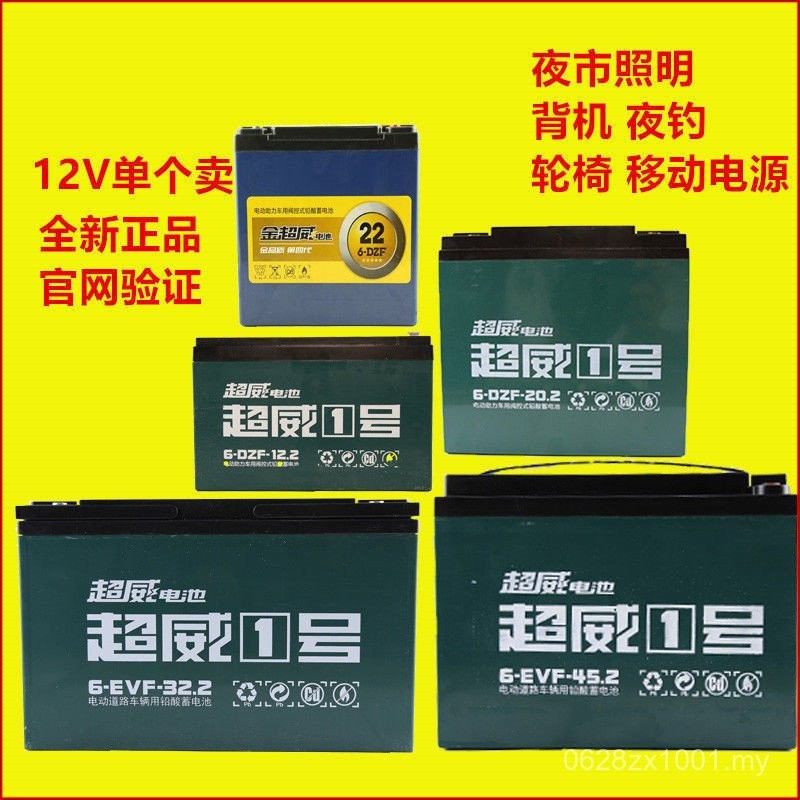 Chaowei 12V Battery Single Inverter Water Pump Battery 45 12ah Night ...