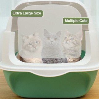 Cat Litter Box/Cat Toilet/Tempat Berak Kucing/Tandas Kucing/Bekas Pasir ...