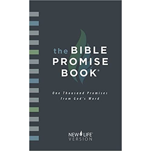 NLV - The Bible Promise Book: One Thousand Promises from God's Word ...