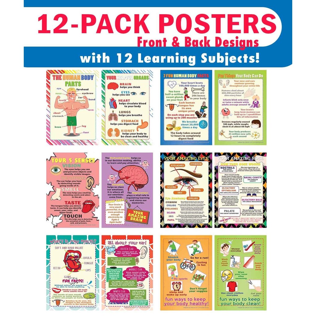 The Human Body Educational Learning Posters (12-Pack) | Shopee Malaysia