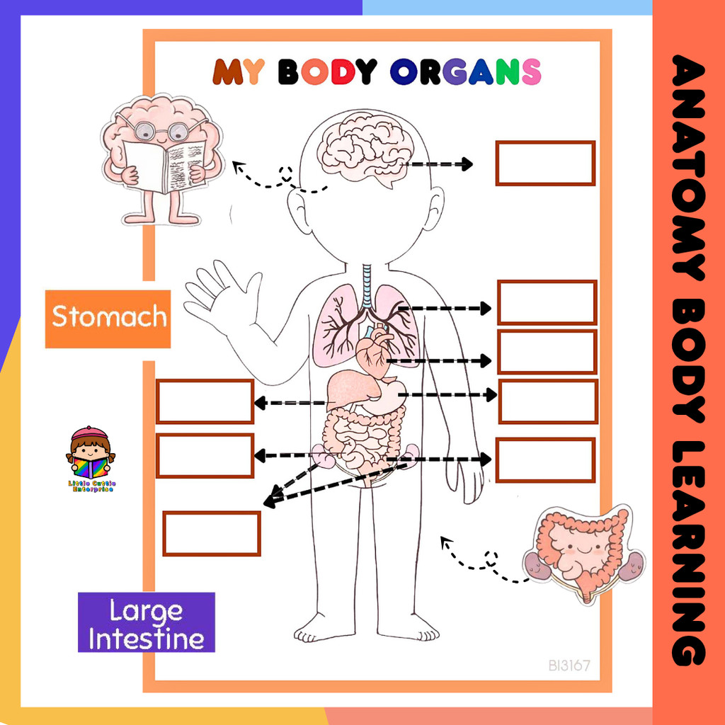 My Body Parts Busy Book Aktiviti Kenali Tubuh Badan Kanak-Kanak ...