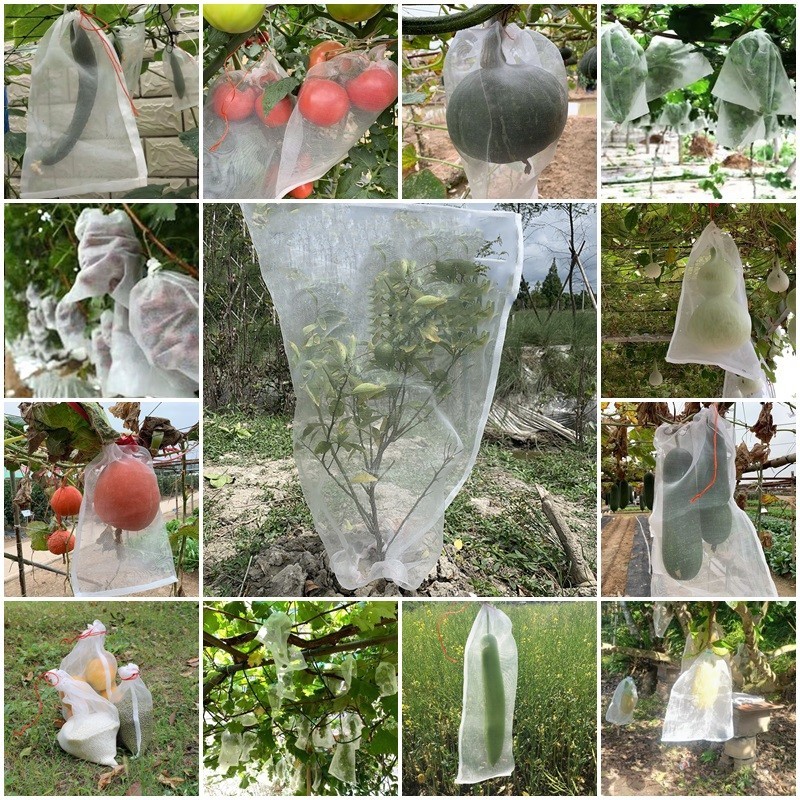 Simple Fruit Insect Proof Bag Nylon Bird Proof Mesh Bags Garden ...