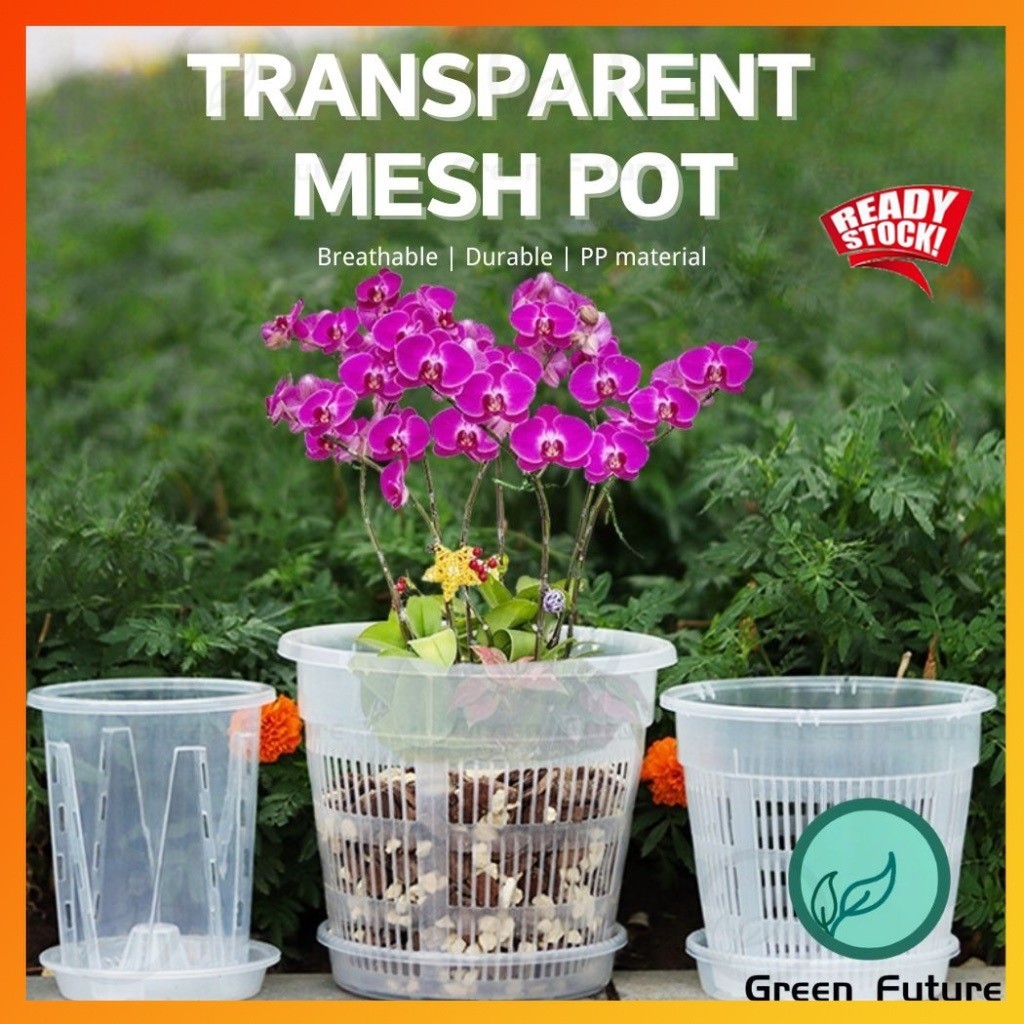 兰花专用盆 空气柱透明控根盆 Transparent Orchid Pot Mesh pot Plastic Pot with hole ...