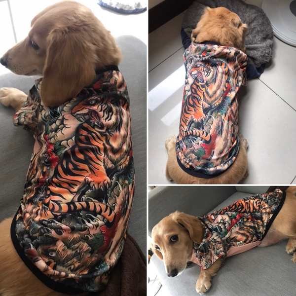 cat clothes dog halloween costume Penghantaran percuma perlindungan ...