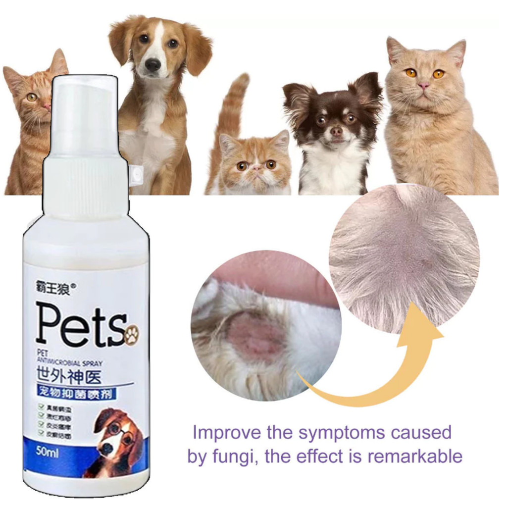 Nano silver spray Pet Skin Spray Removes Anti-Fungal Dog And Cat Spray ...