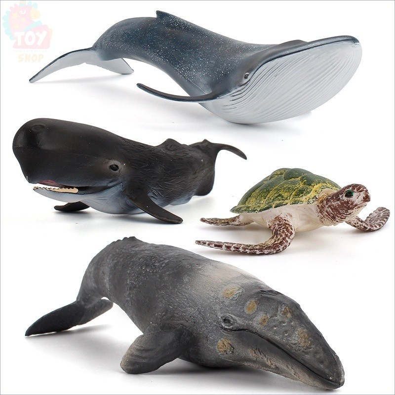 Marine Life Model Sea Turtle Grey Whale Blue Whale Smoking Whale ...