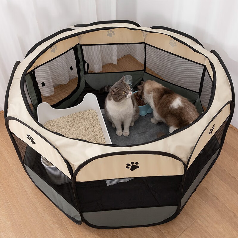 Cat Delivery Room Cat Birth Pregnancy Pregnant Cat Litter Closed Tent ...