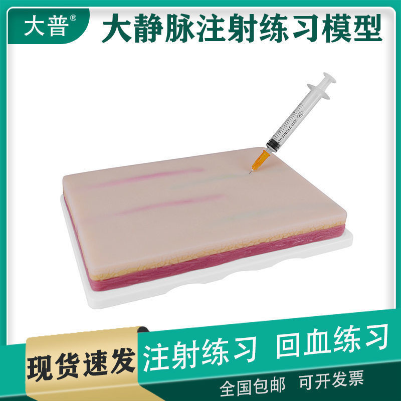 Large Vein Injection Model Surgical Nurse Simulation Skin Injection ...
