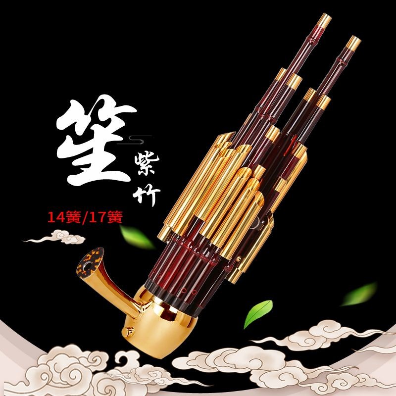 Musical Instrument 1 Purple Bamboo Sheng 7 Spring 14 Spring Amplifier ...
