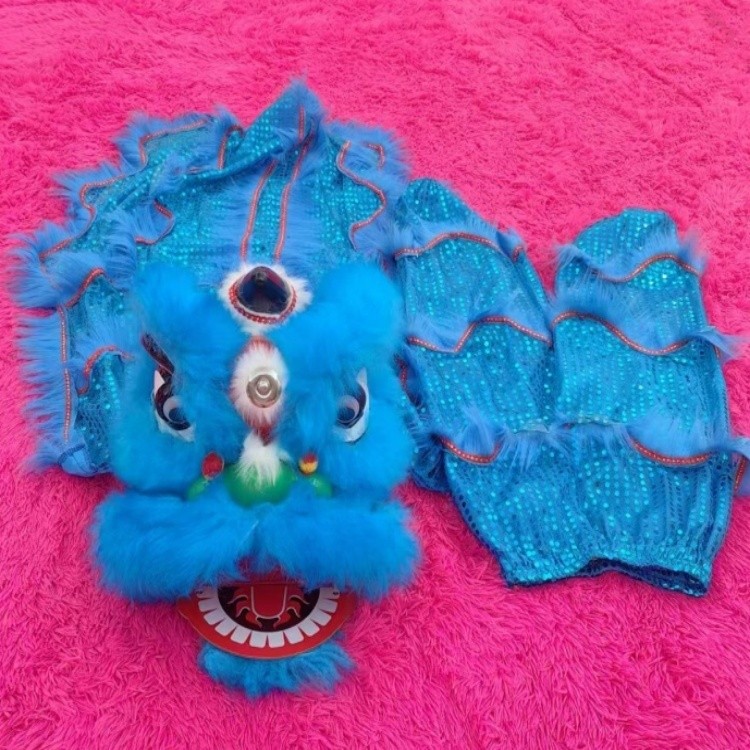Blinkable Lion Dance Children's Lion Dance Wool Performance Prop Lion ...