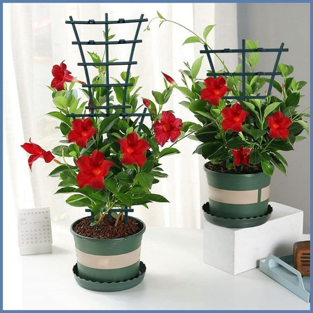 Trellis for Plants Indoor Plant Scaffold 8pcs Indoor Plant Trellis for ...