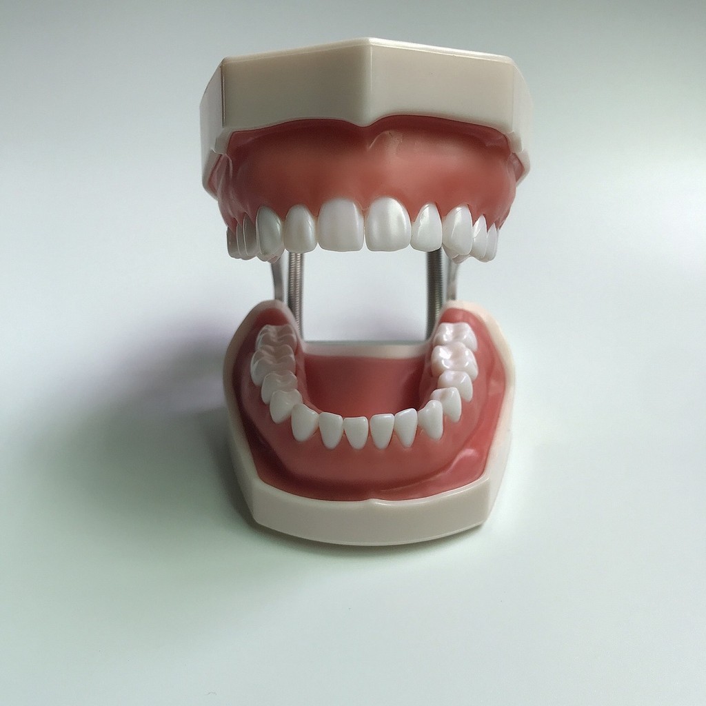 Dental equipment for practicing tooth grinding for students, Dental ...