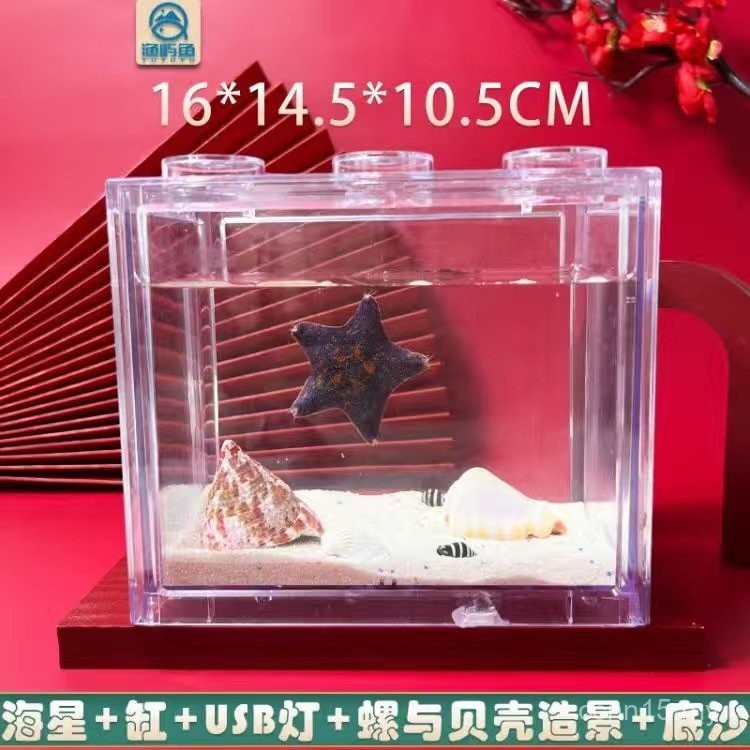 Pai Daxing Breeding Tank Living Sea Star akuarium Set binatang pelihara ...