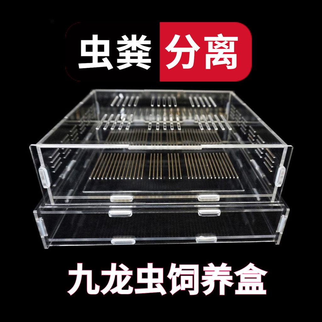 Breeding Living Kowloon Worm Western Worm Breeding Box Acrylic Box Worm ...