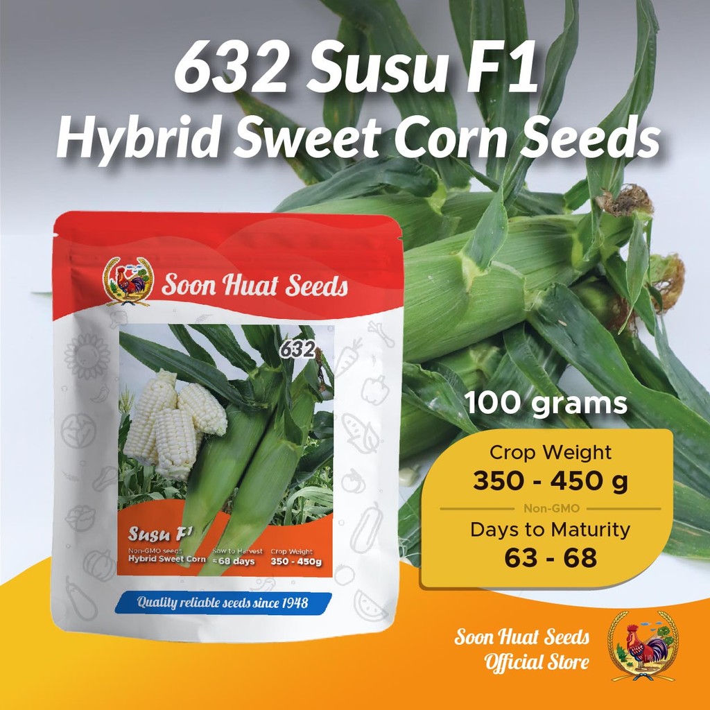 [100g] Benih Jagung Susu 632 Sweet Corn F1 Soon Huat Seeds | Shopee ...