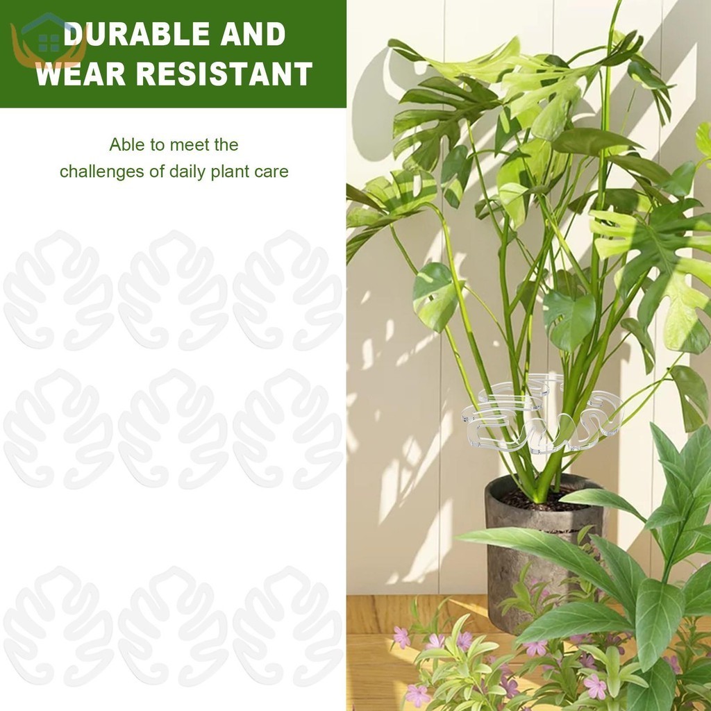 Monstera Grapple Plastic Monstera Vegetation Support Enduring Sturdy ...