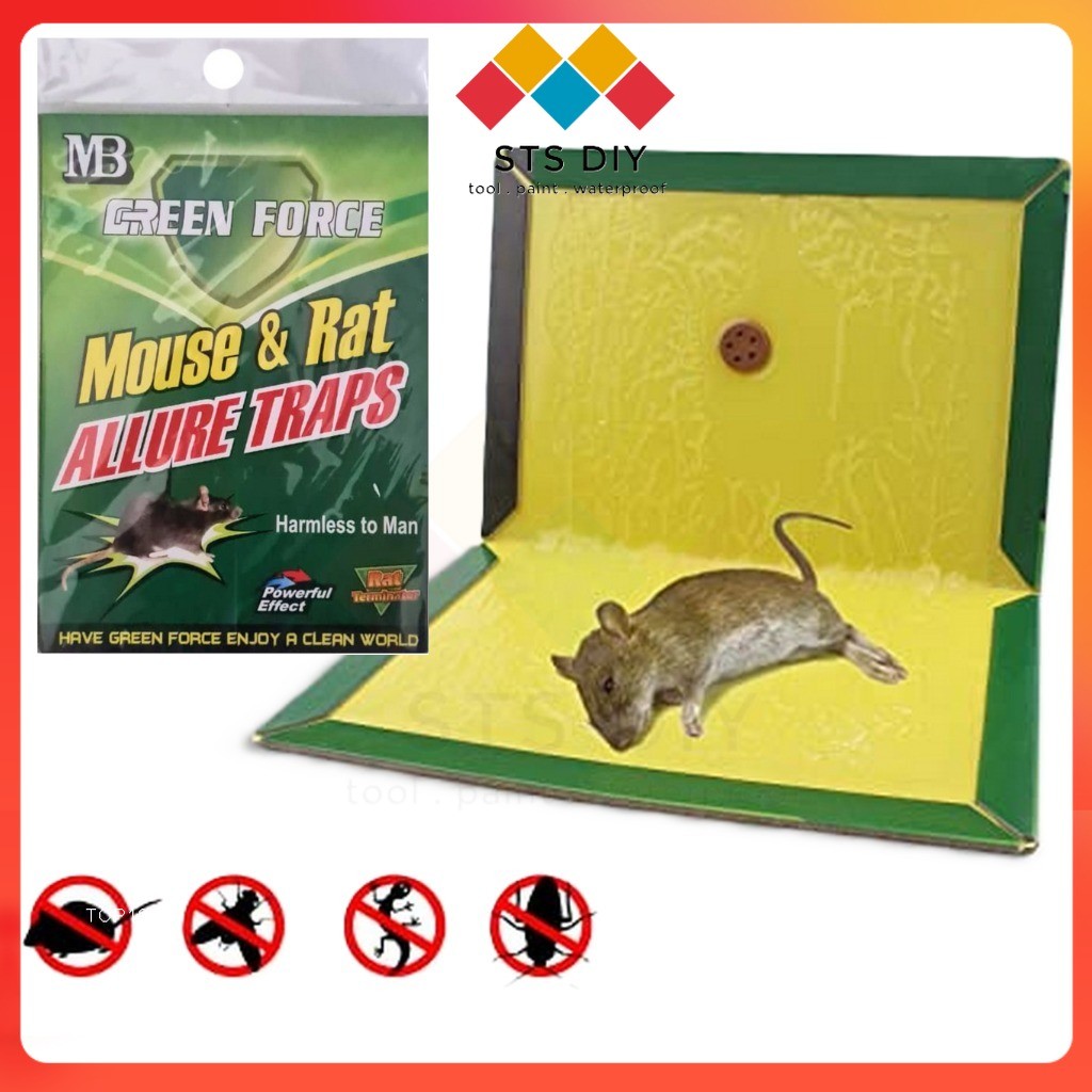 Green Force Mouse Trap Snake Bugs Rat Mice Catcher Board Foldable Pest ...
