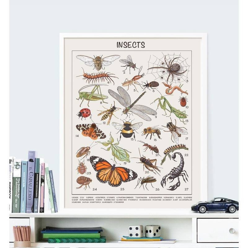 The No Framed Intriguing World and Educational Value of Insects ...