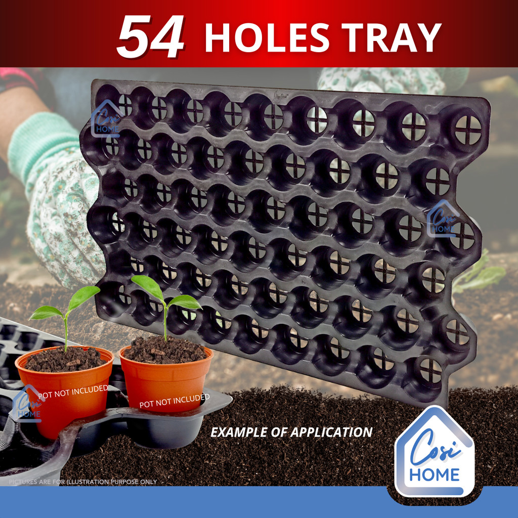 Pot Carrying Tray with 54 Cells / Seedling Starter Tray / Talam Tanaman ...