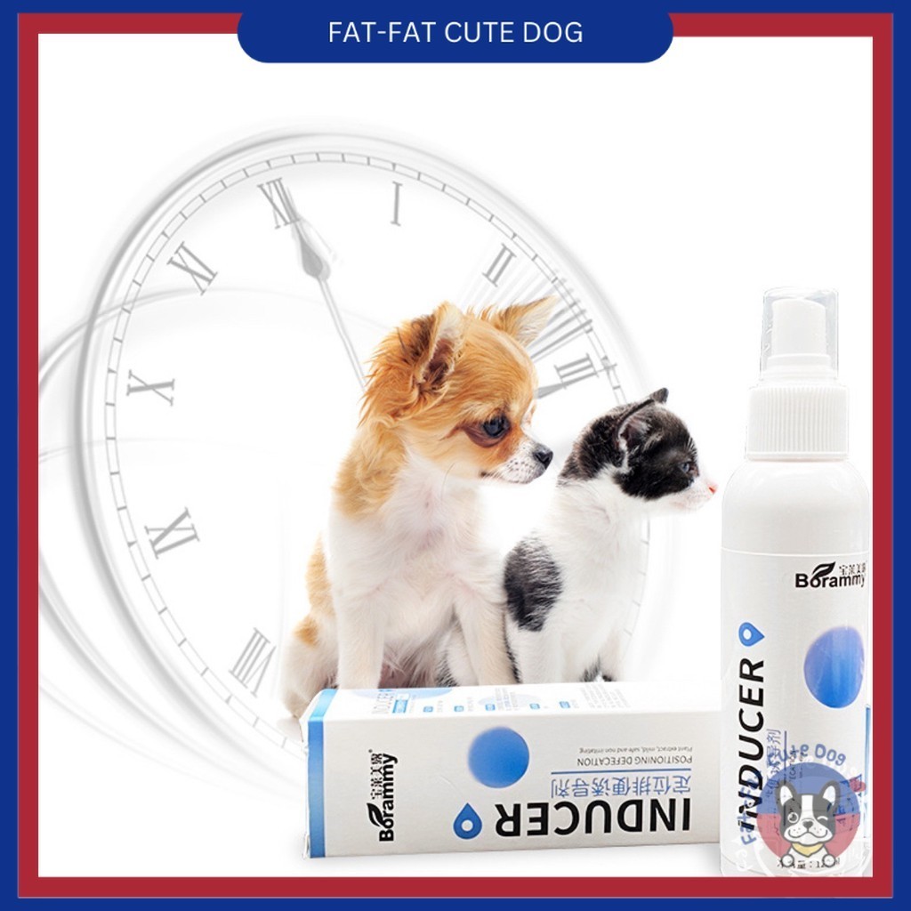 Pet Inducer Dog Potty Training Auxiliary Potty Spray 120ml | Shopee ...