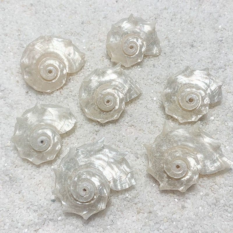 BNG2 roll shell alat letak barang pembiakan bergantian shell shell ...