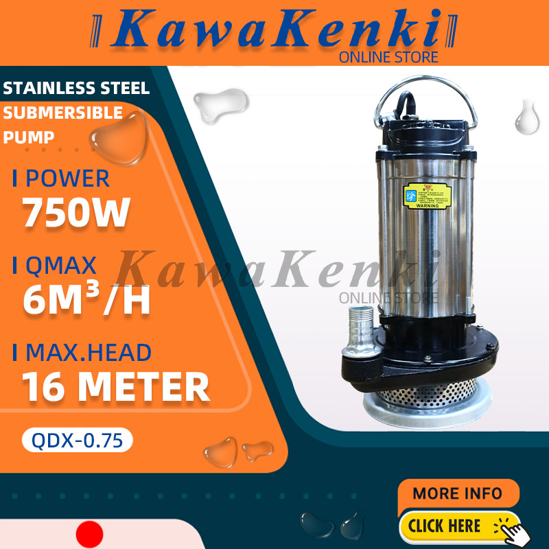 Durable 60 years year immersion pump electric immersion pump 750W ...