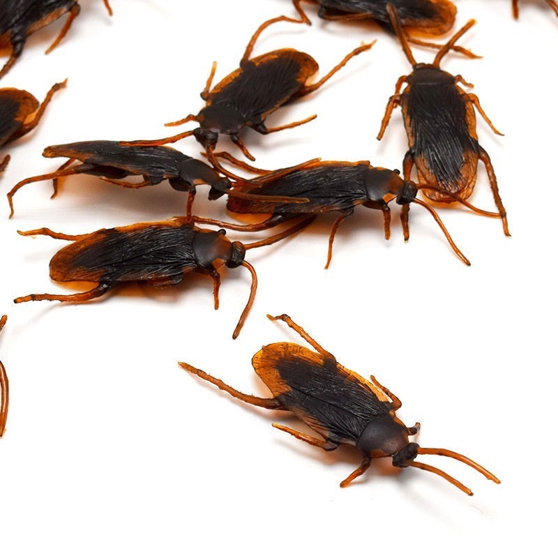 Cockroach toy, simulation cockroach, fake cockroach Prank toy centipede ...