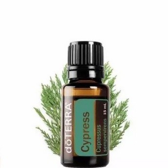 (Ready stock) doterra Cypress ESSENTIAL OIL 15ml 100% ORIGINAL | Shopee ...