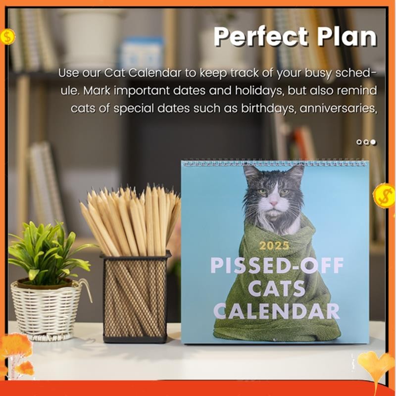 2025 Pissed-Off Cats Calendar Funny Cat Wall Calendar Cats Wall ...