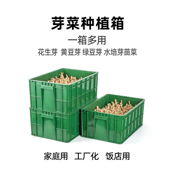 planter box Kotak hidroponik tauge kacang, piring pembibitan kacang ...