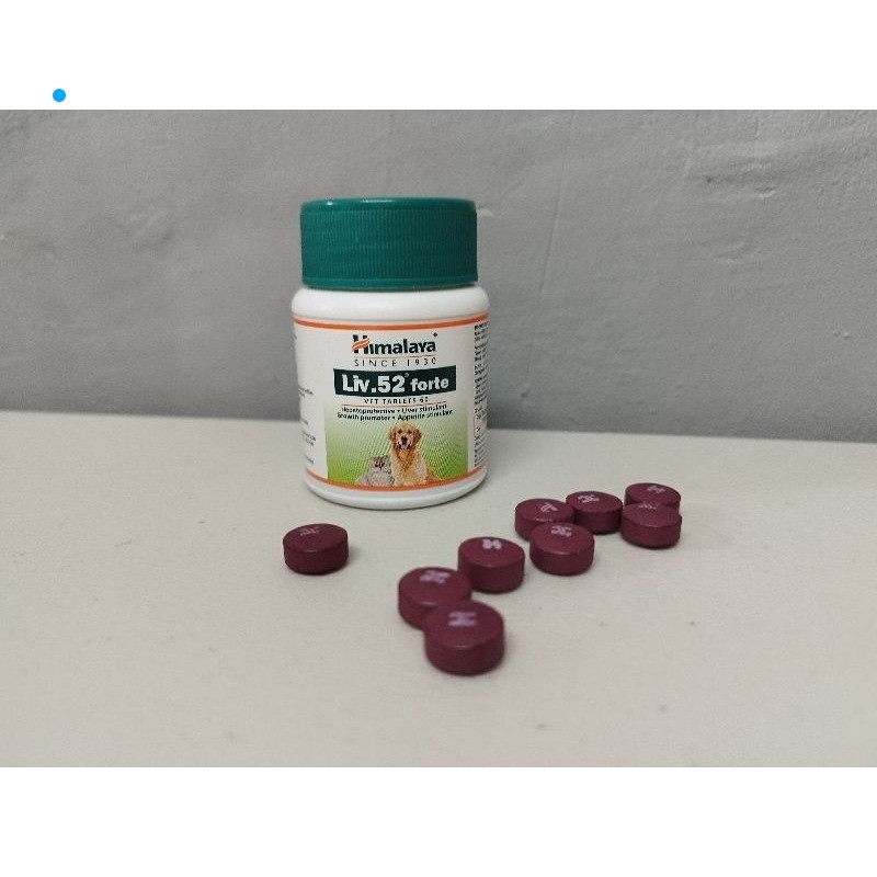 Himalaya Liv 52 Forte Vet Tablets for Liver Care of Dogs and Cats (60 ...