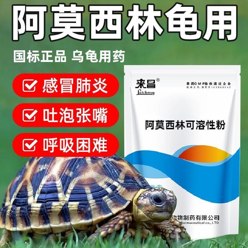 Turtle Medicine Pet Turtle Amosilin Turtle Use Treatment Cold Pneumonia ...