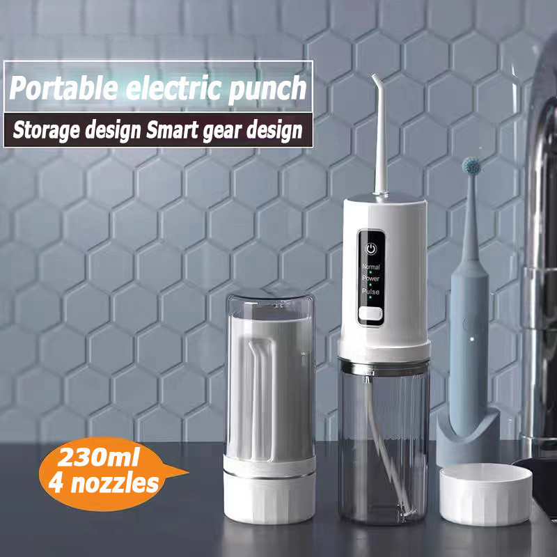 Portable Water Flosser IPX7 Waterproof Electric Rechargeable Oral ...