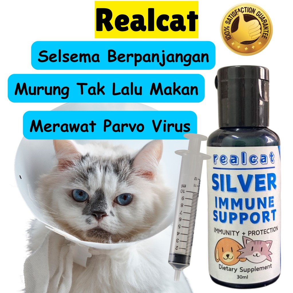 RealCat Ubat Selsema Kucing Parvo Kucing Hingus Bersin Monyok Virus Cat ...
