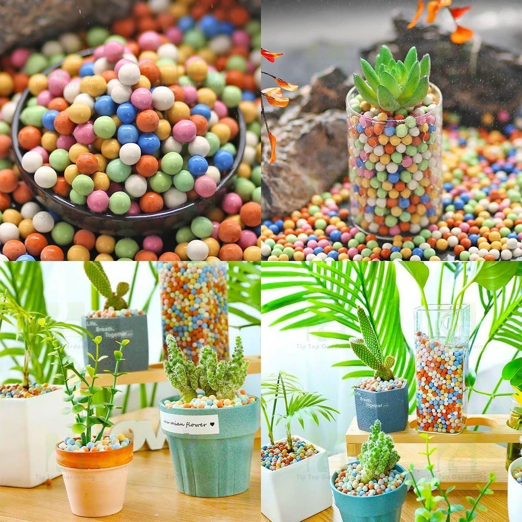 500g / 1KG Colorful Leca Clay Pebbles Leca Balls Hydroponic Growing ...